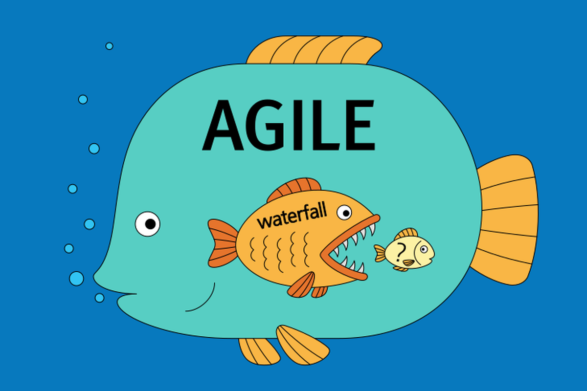 Software development life cycle models: waterfall and agile
